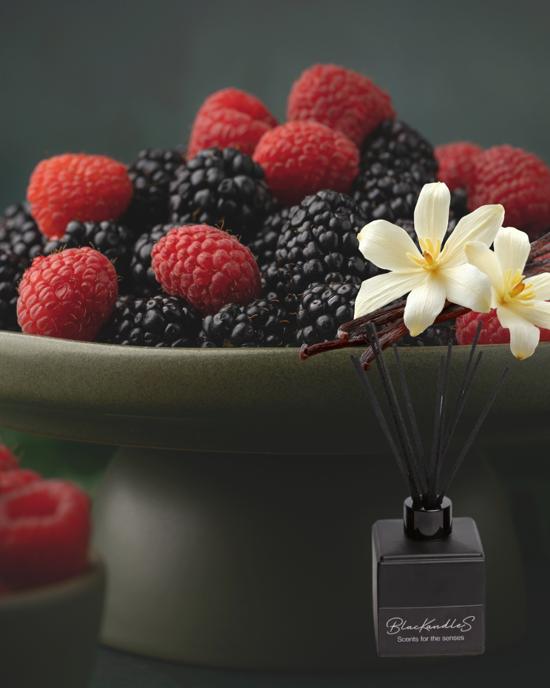 Black Raspberry & Vanilla Diffusers – BlacKandleS