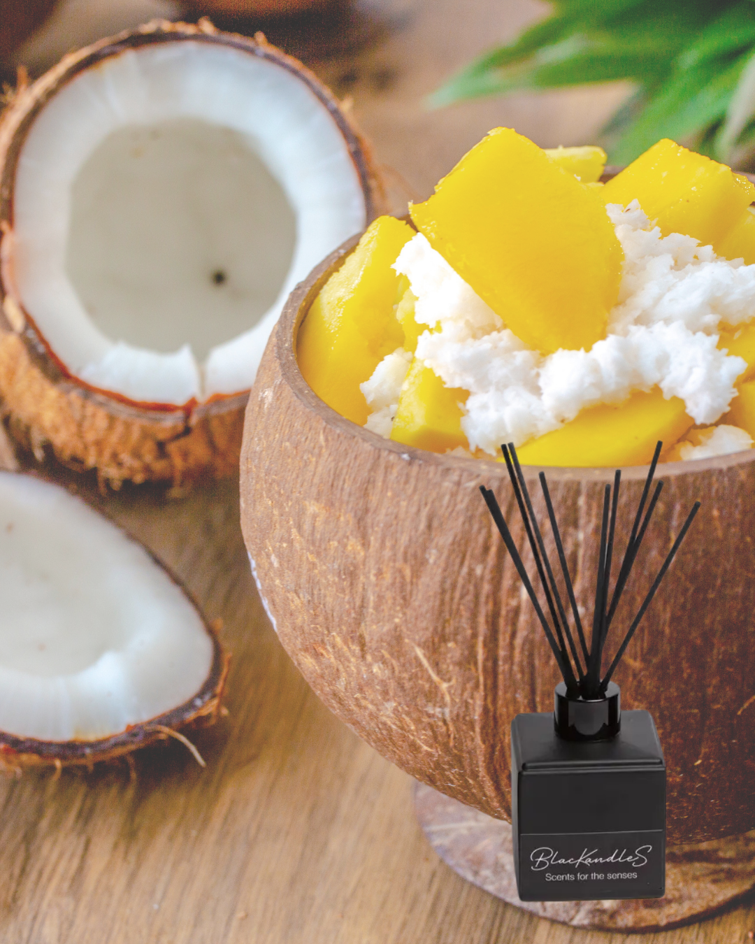 Coconut & Mango Diffusers – BlacKandleS