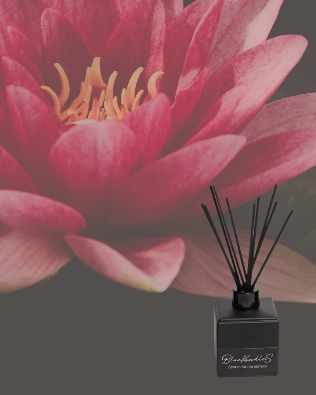 Lotus Flower Diffusers – BlacKandleS