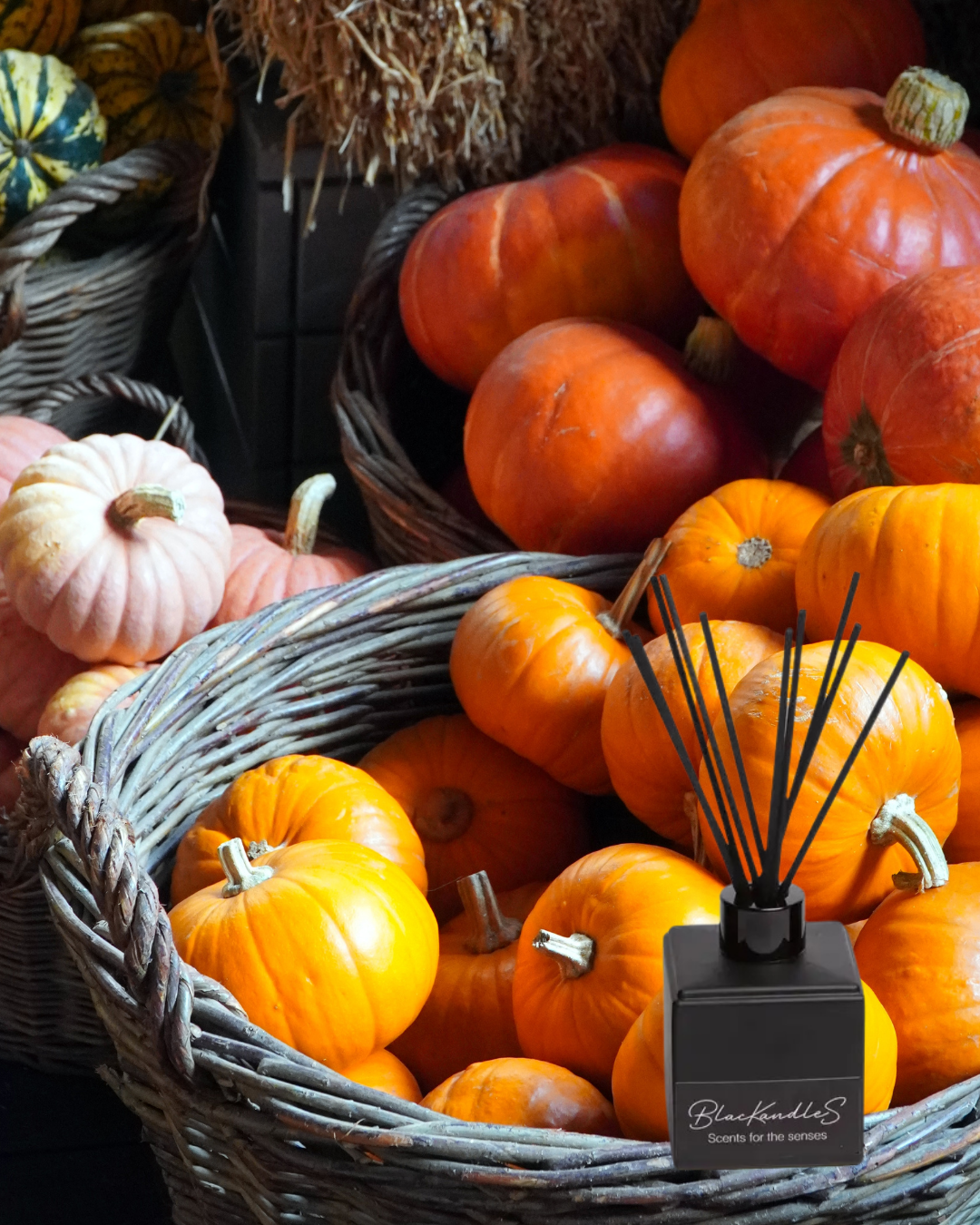 Spiced Pumpkin Diffusers – BlacKandleS