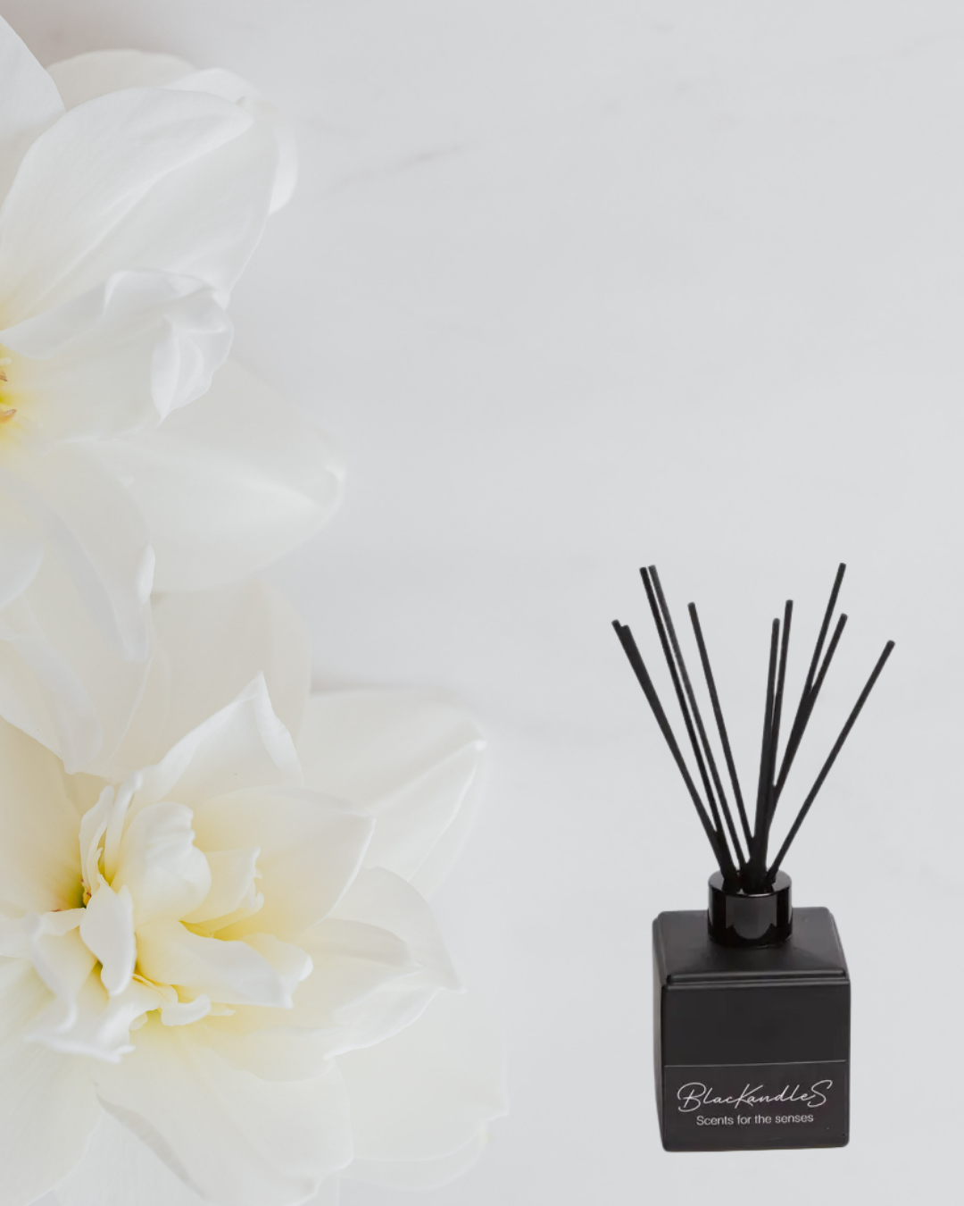 White Musk Diffusers – BlacKandleS